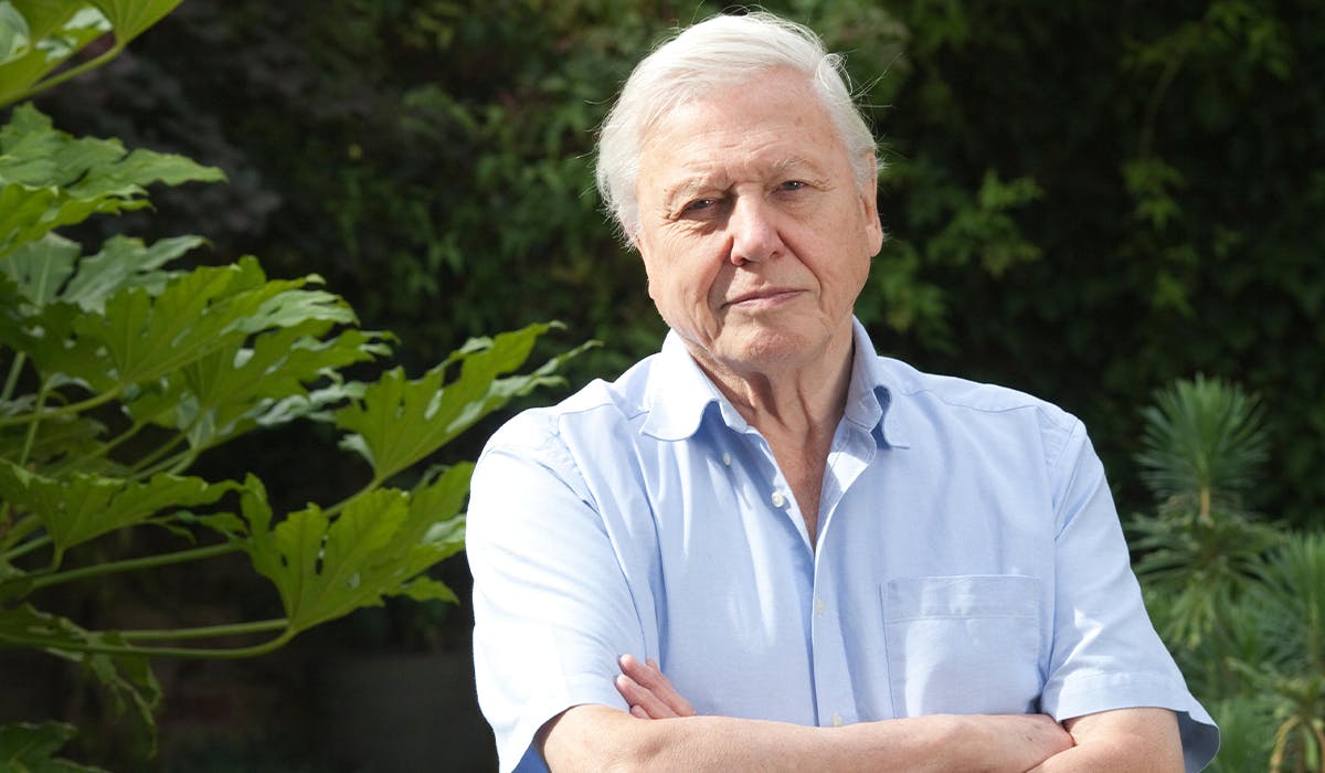 David Attenborough books