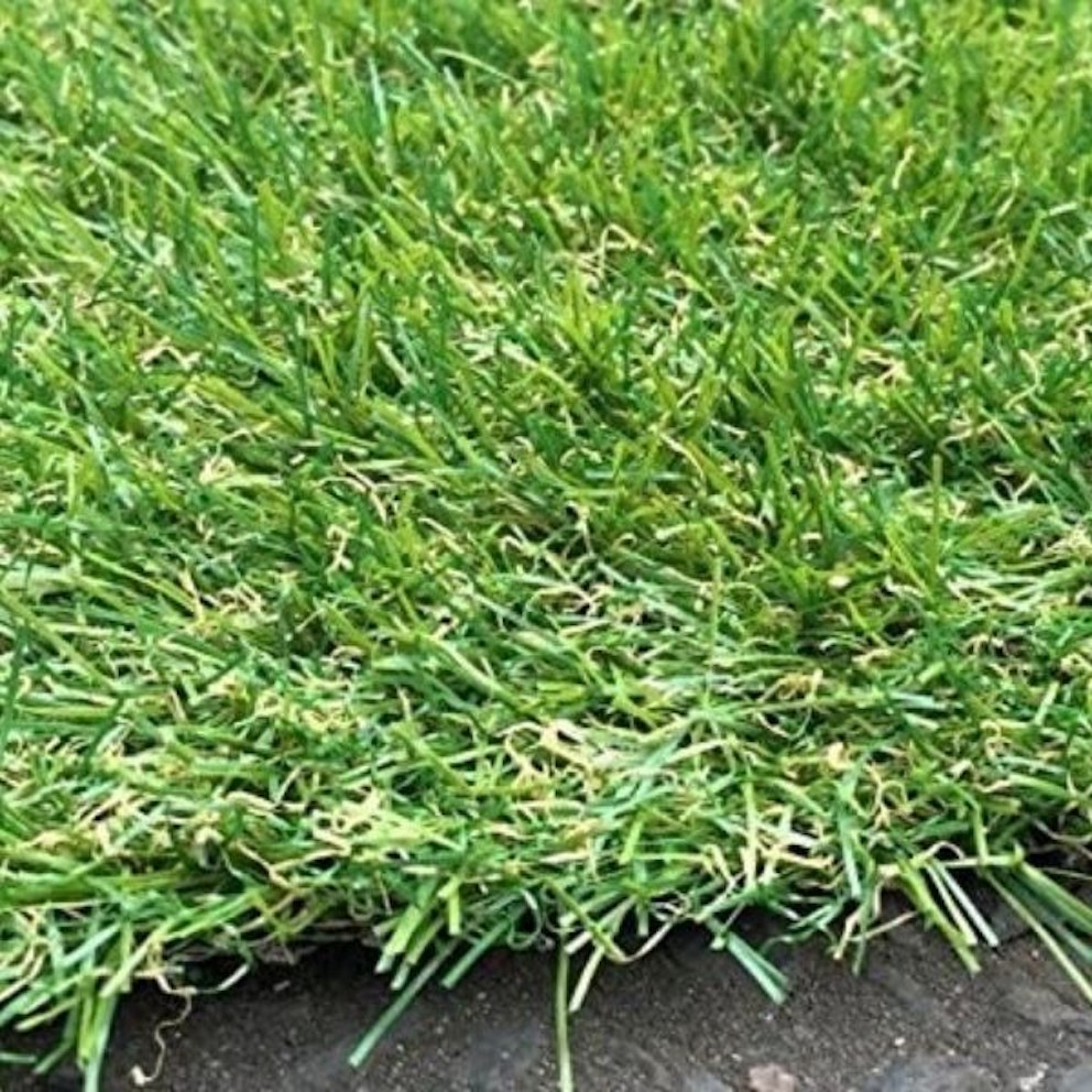 The best artificial grass for an effort-free flawless lawn 2025