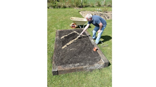 Sow annuals direct in borders | Garden News