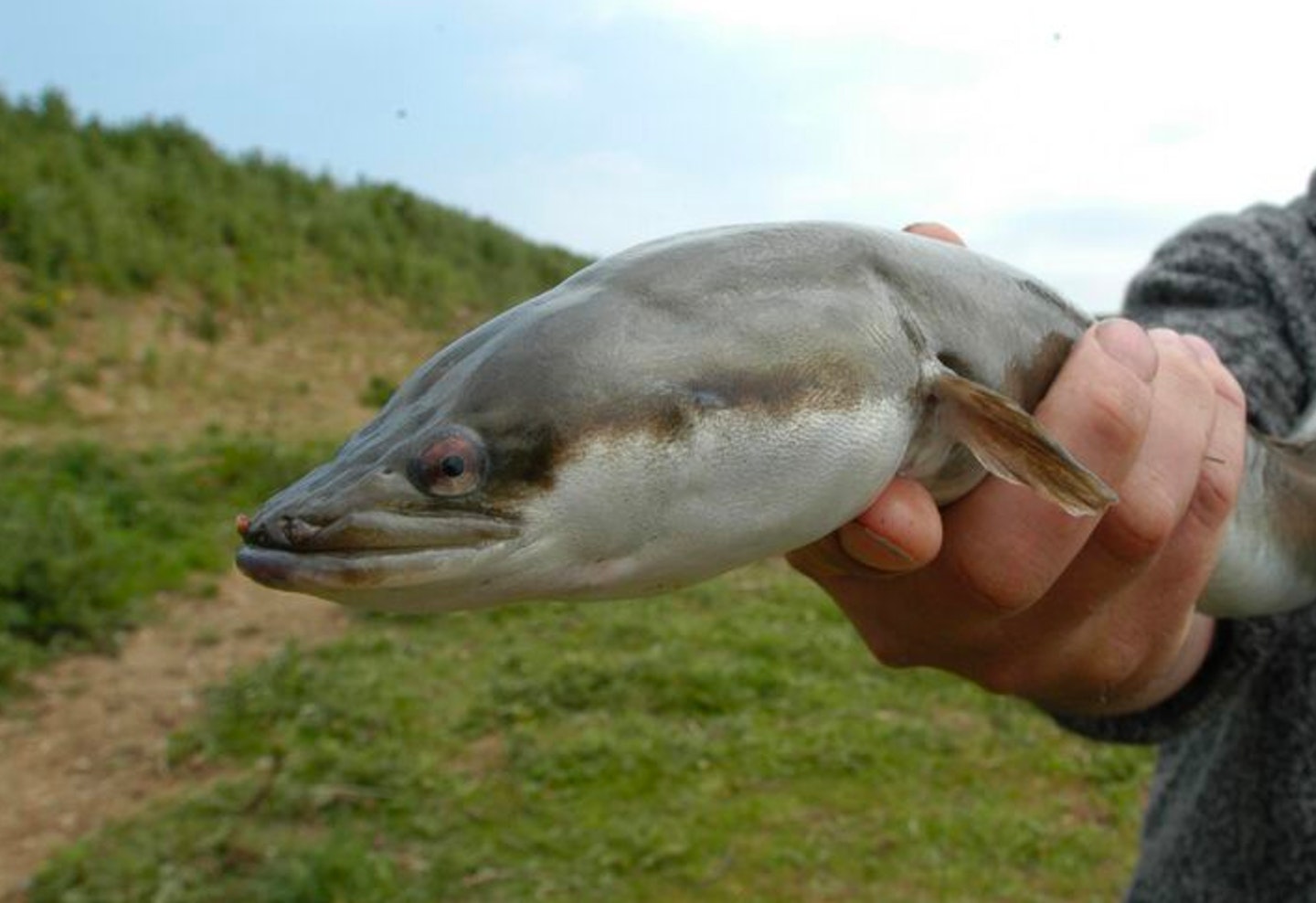 10 tips to catch bigger specimen fish | Angling Times