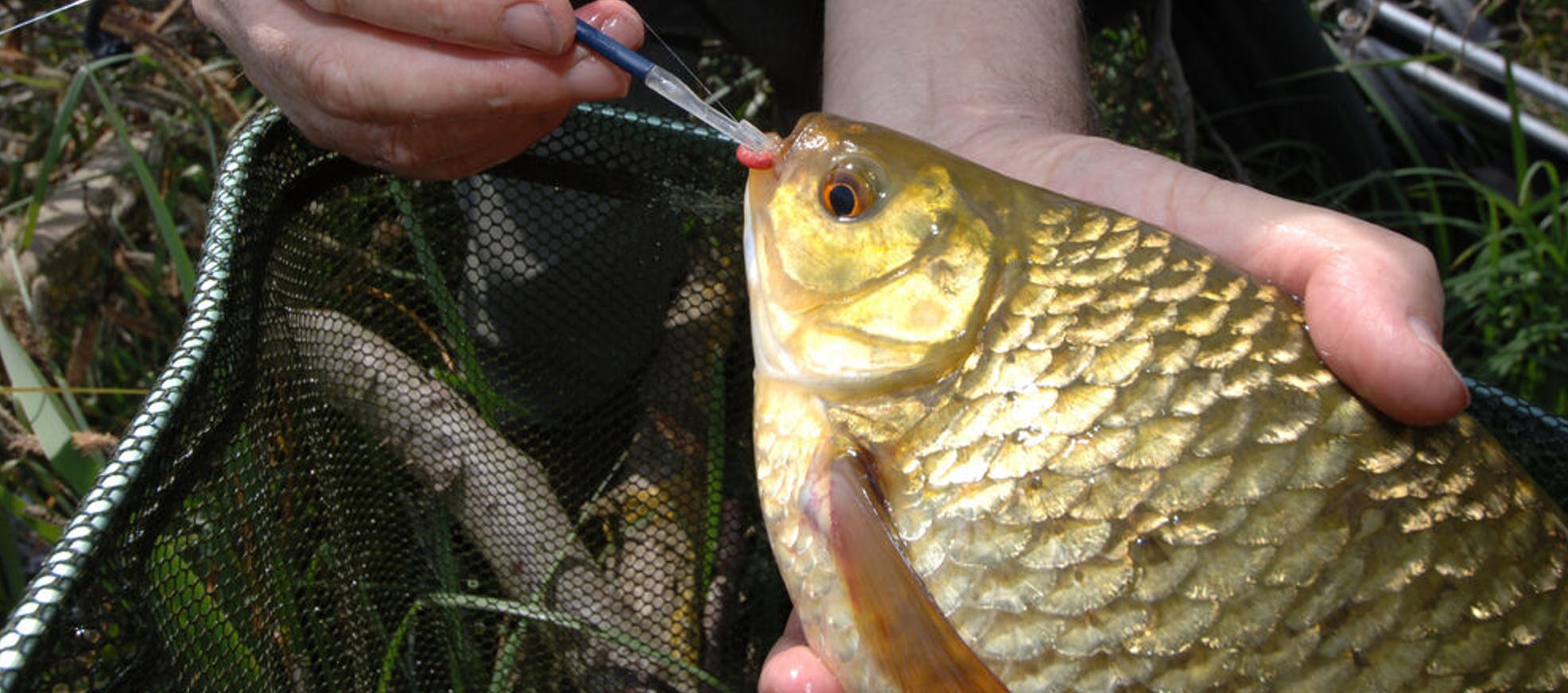 Screen Shot 2021-05-19 at 18.32.17.png?format=jpg&quality=80&width=960 ...