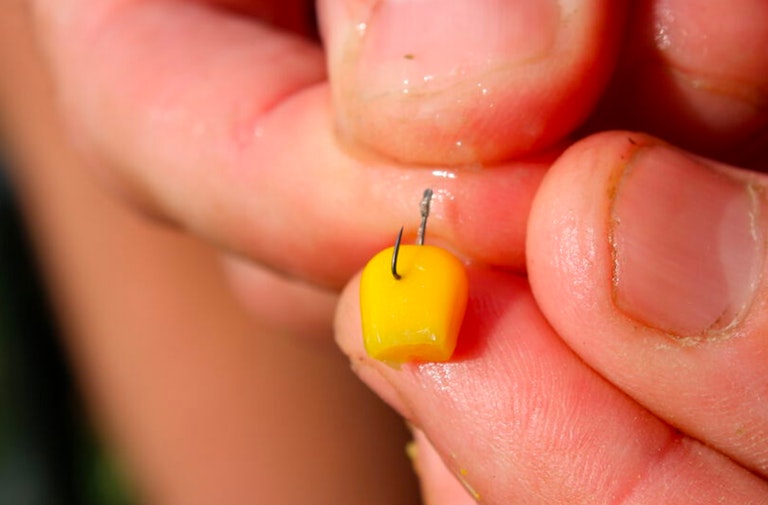 The best bream baits