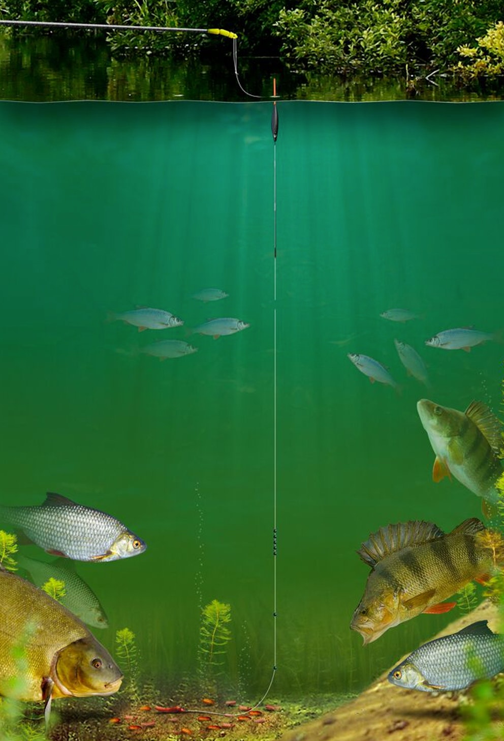 Pole fishing for big canal fish | Angling Times