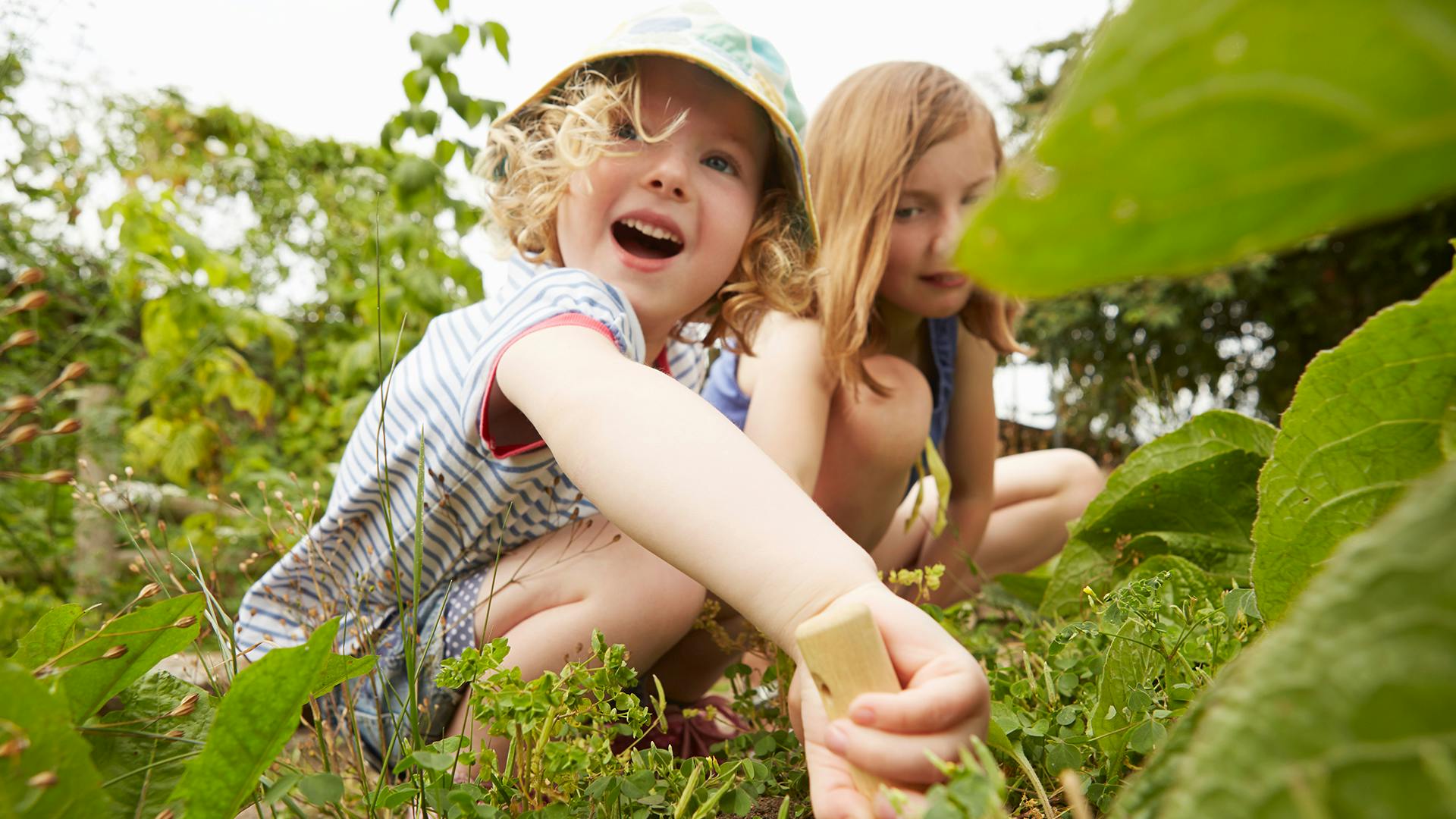 Seven family-friendly activities your kids will love that also keep ...