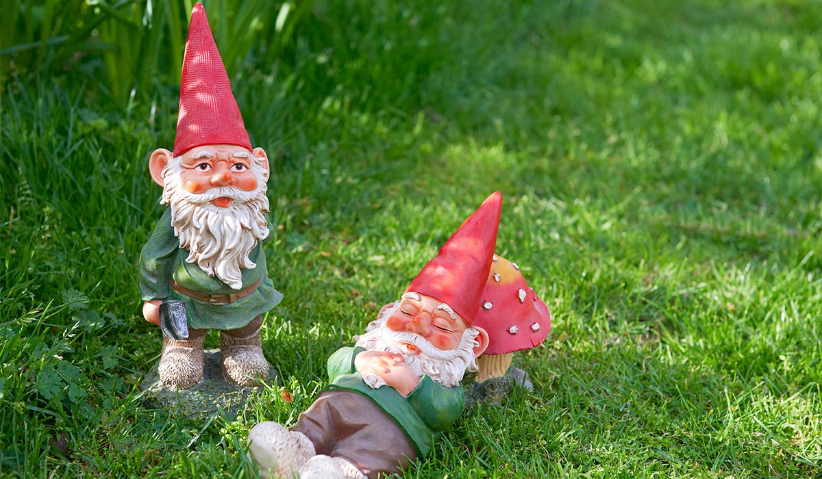 The history of garden gnomes
