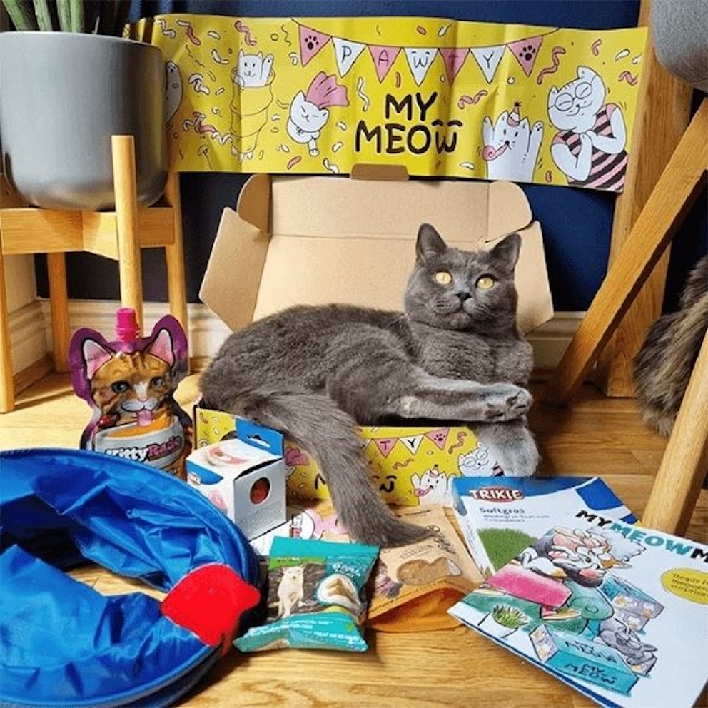 The Best Cat Subscription Boxes UK