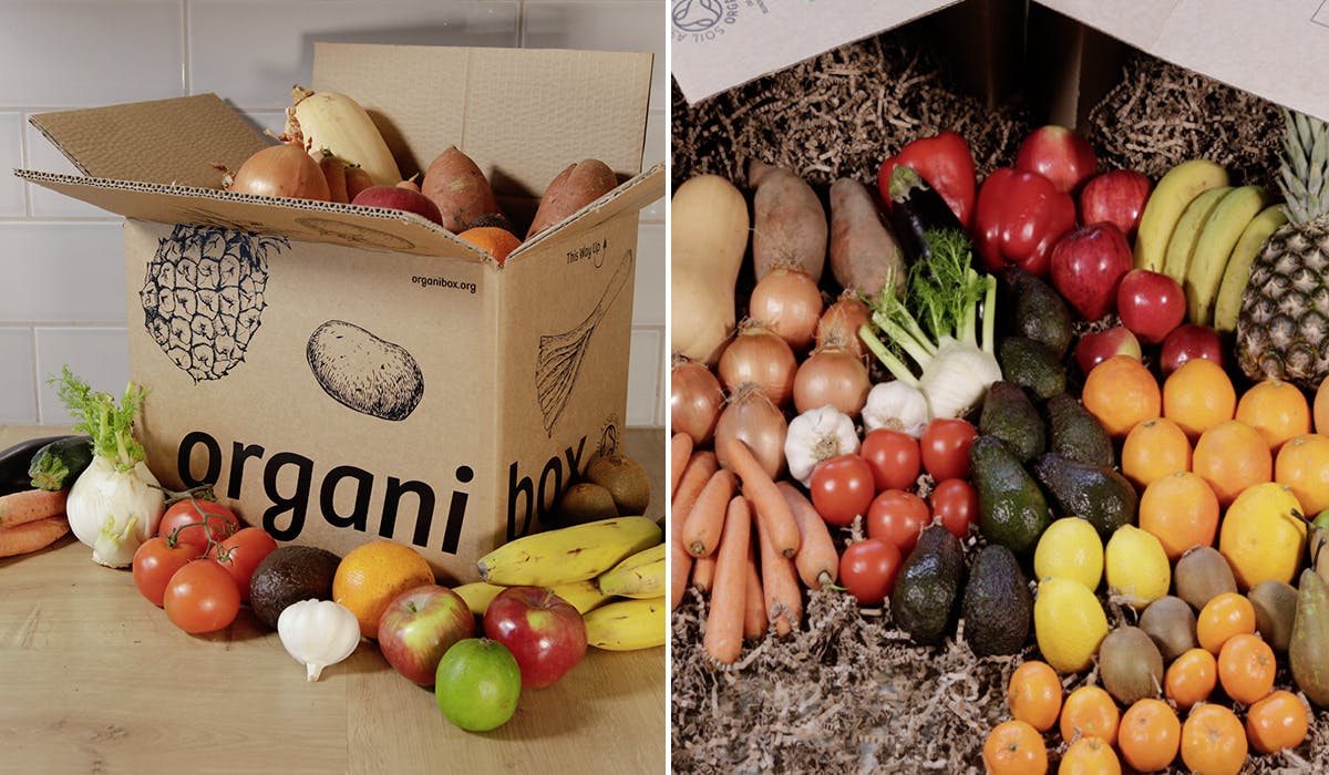The Organibox Fruit and Vegetable box review | Wellbeing | Yours