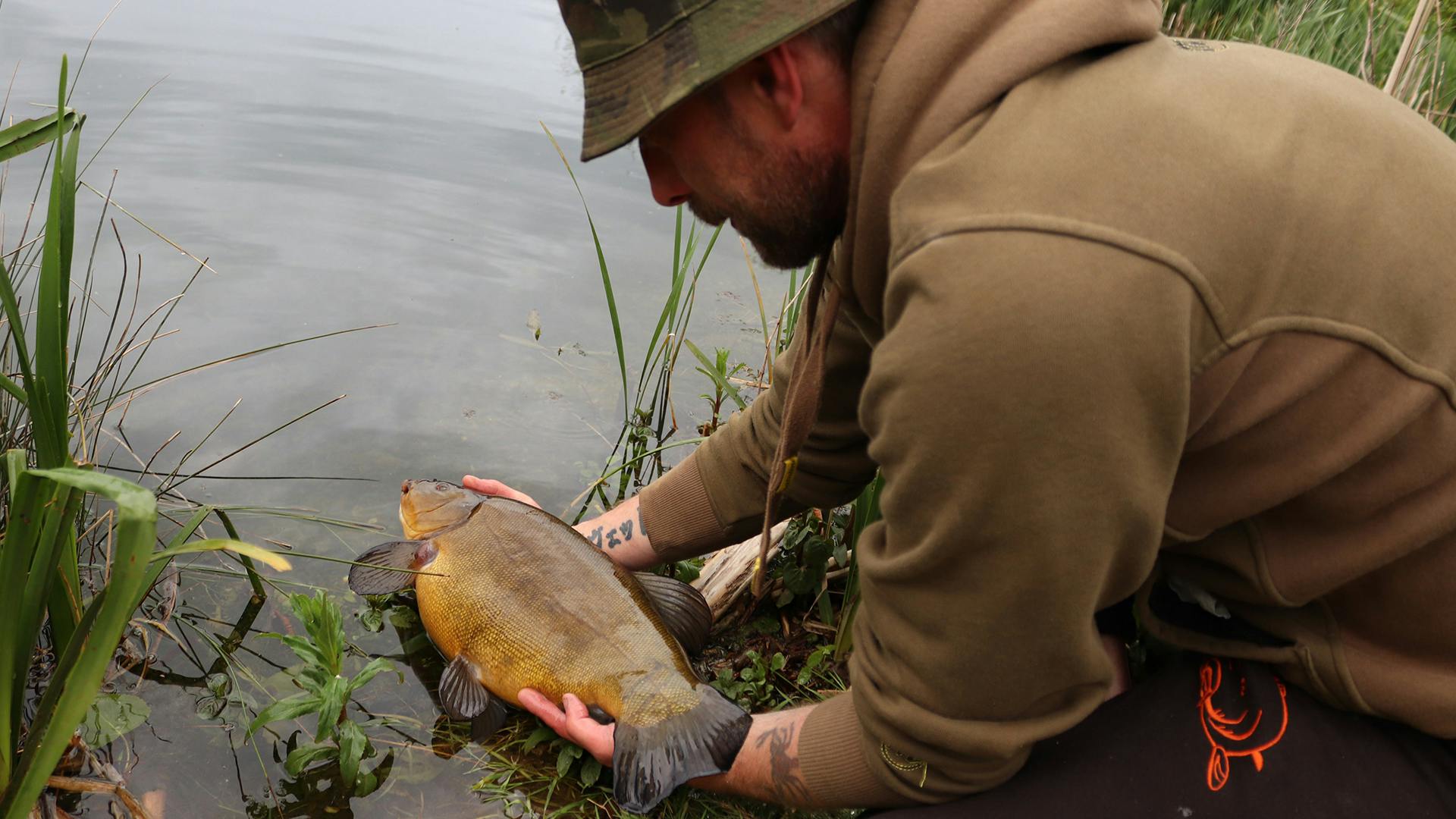 Classic roach bait brings six tench to 9lb 6oz | Angling Times