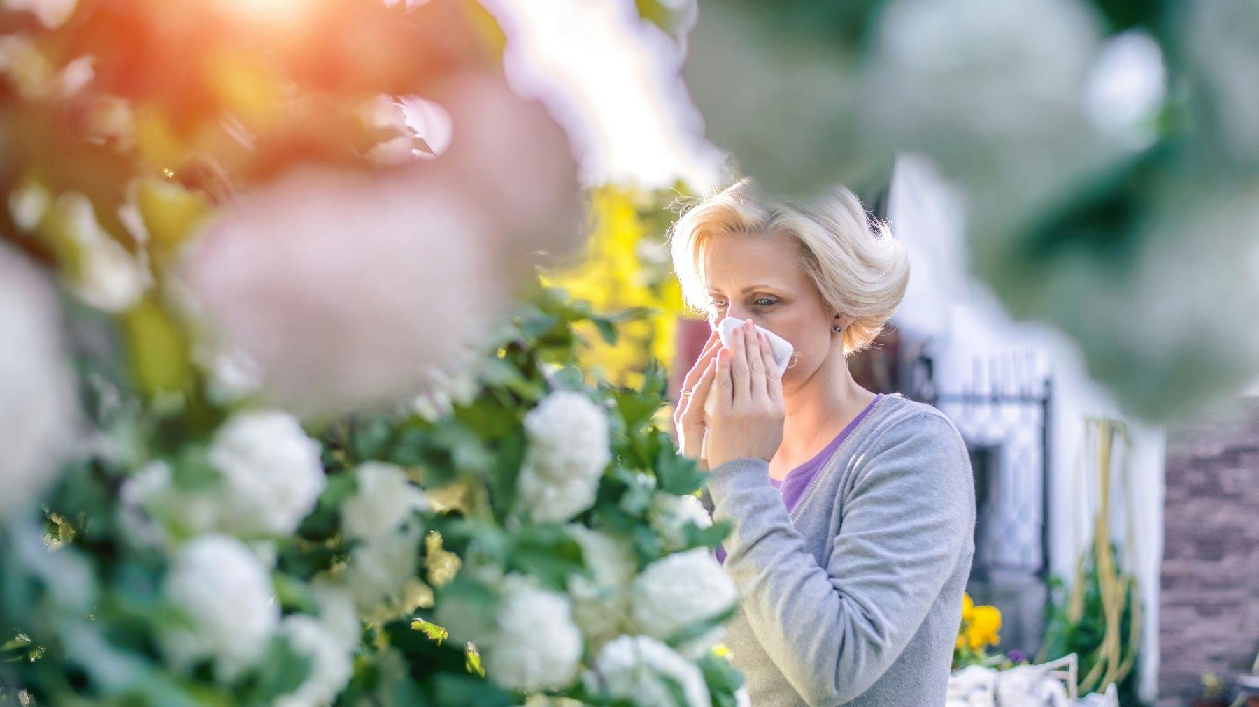 8 hay fever remedies to try now