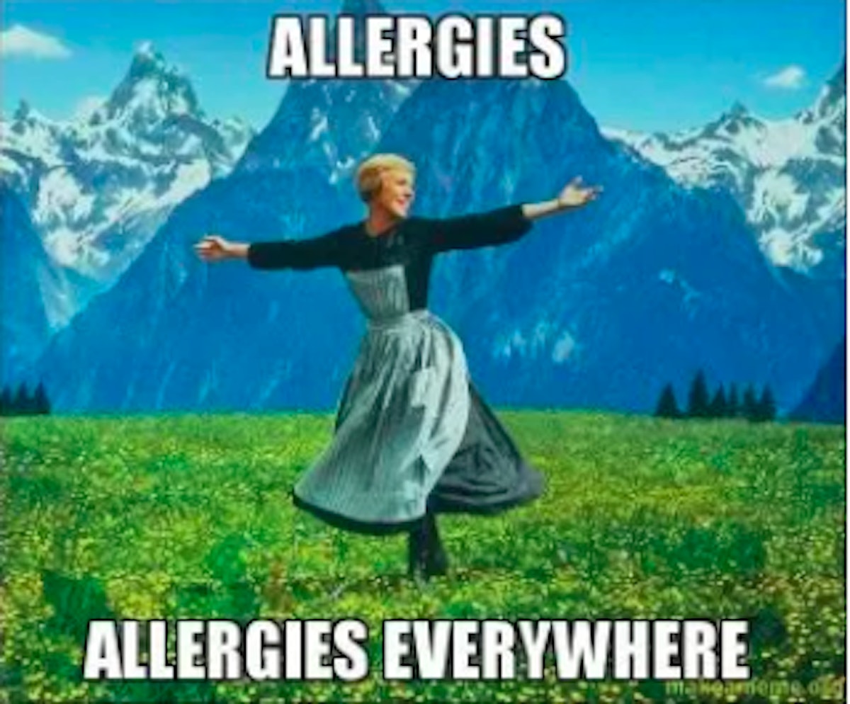 The Best Hay Fever Memes For When You Need To Smile Through The Sneezing