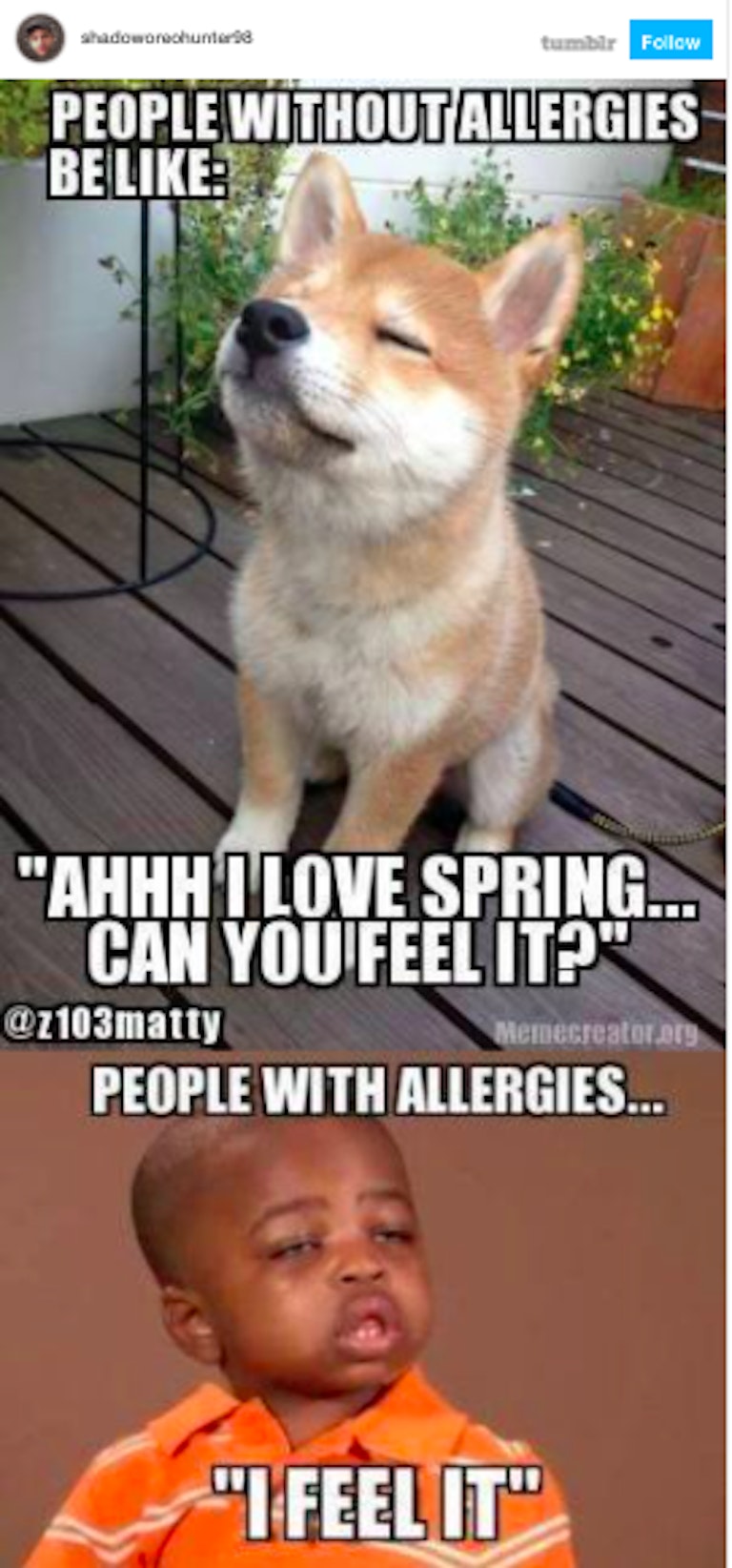 The Best Hay Fever Memes For When You Need To Smile Through The Sneezing