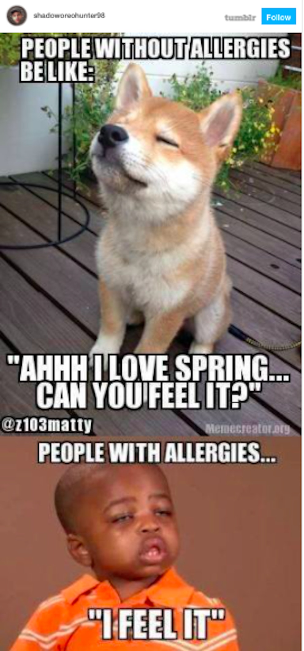 The Best Hay Fever Memes For When You Need To Smile Through The Sneezing
