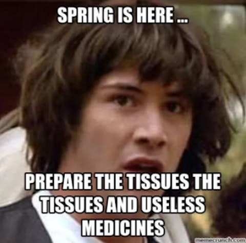 The Best Hay Fever Memes For When You Need To Smile Through The Sneezing