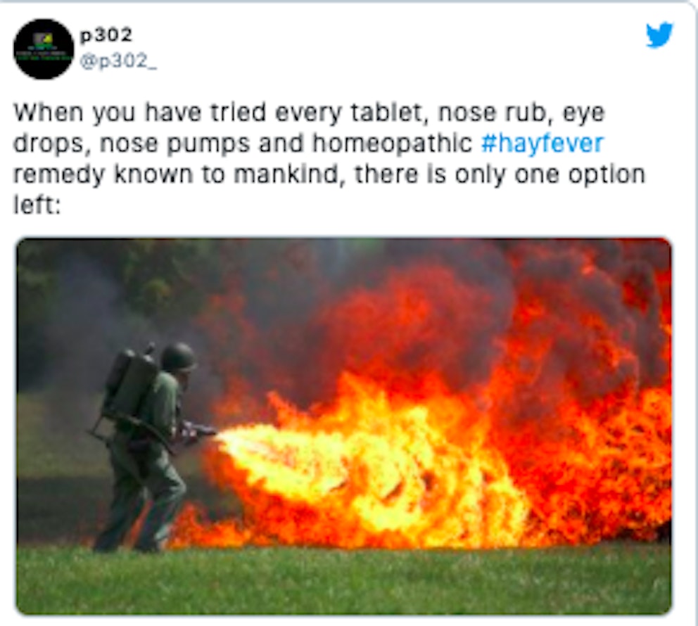 The Best Hay Fever Memes For When You Need To Smile Through The Sneezing