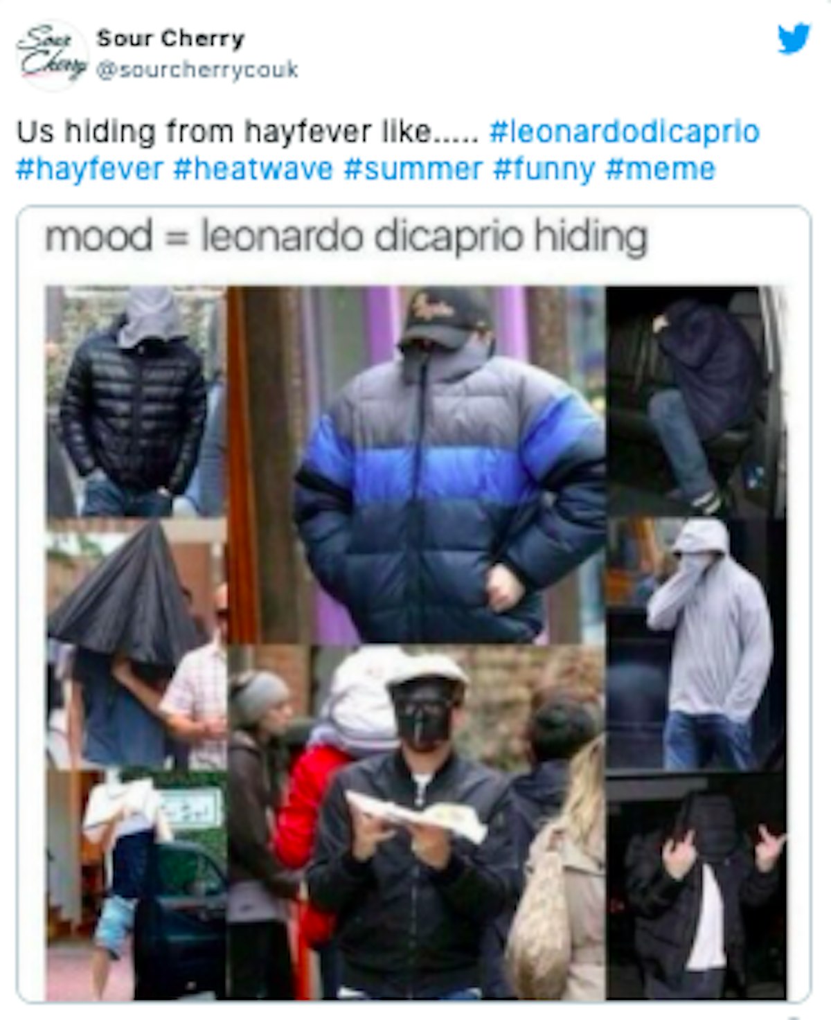 The Best Hay Fever Memes For When You Need To Smile Through The Sneezing