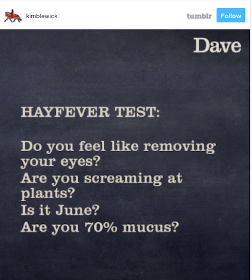 The Best Hay Fever Memes For When You Need To Smile Through The Sneezing