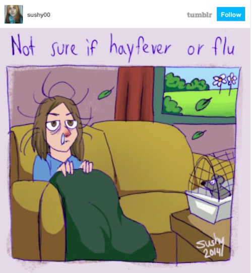 The Best Hay Fever Memes For When You Need To Smile Through The ...