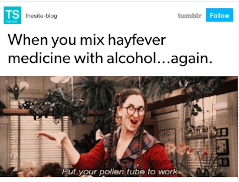 The Best Hay Fever Memes For When You Need To Smile Through The Sneezing