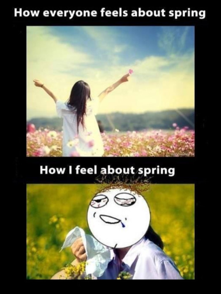 The Best Hay Fever Memes For When You Need To Smile Through The Sneezing