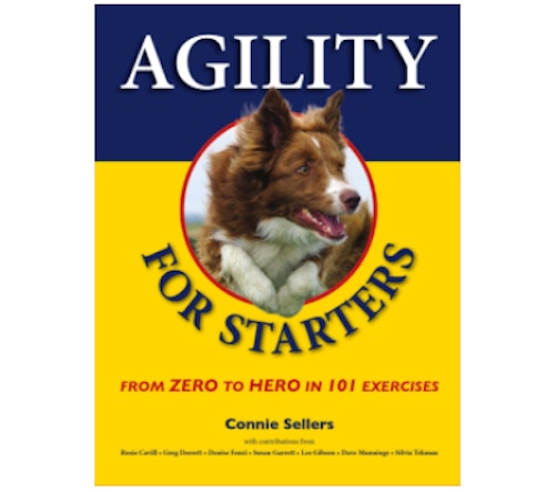 The best dog agility equipment for easy and active training | Home ...