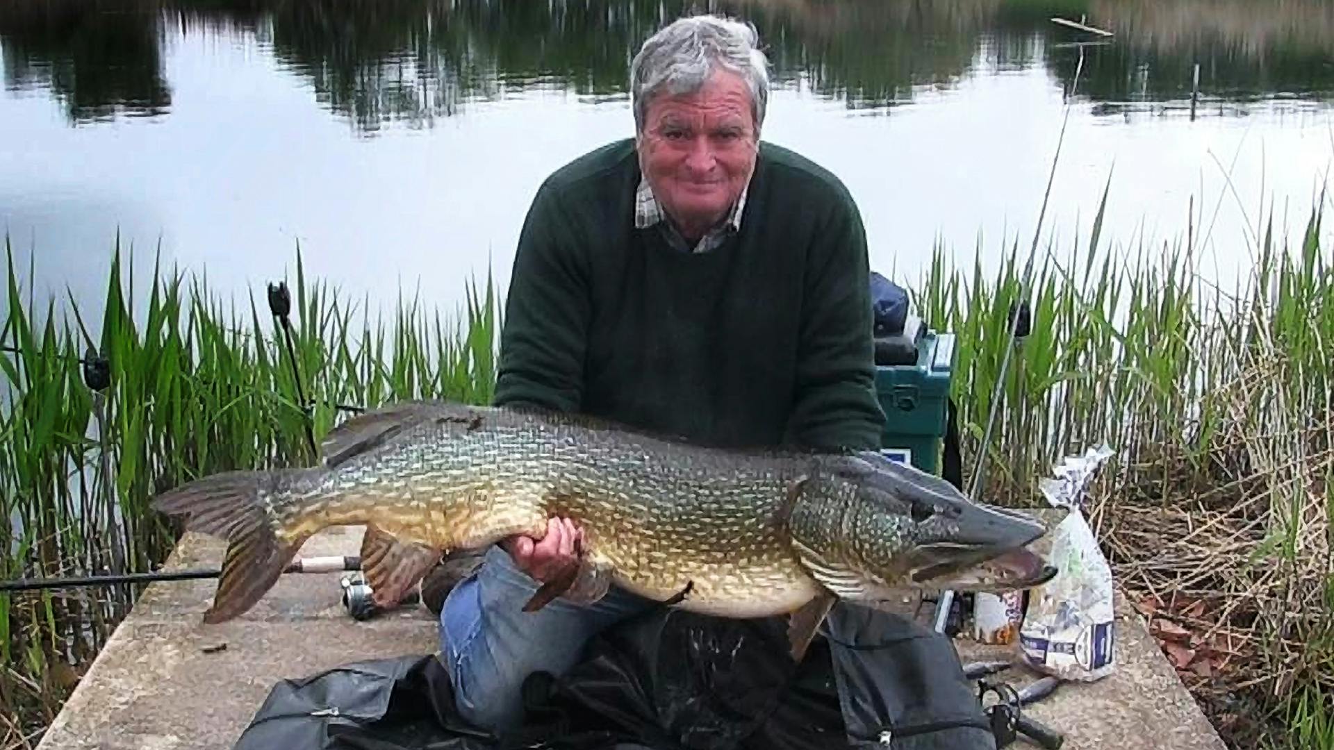 Pike.jpg?format=jpg&quality=80&width=960&height=540&ratio=16-9&resize ...