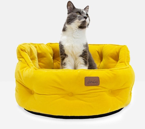 The best cat beds for your kitty to get cosy | Pets | Take A Break