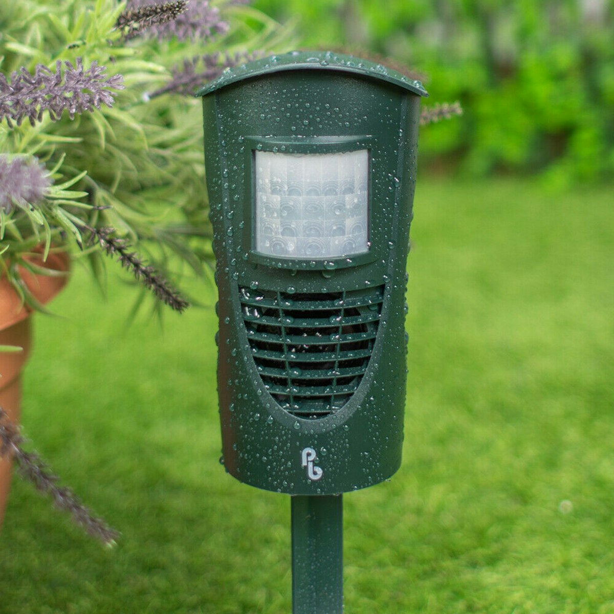 Best Ways to Stop Cats Messing In Your Garden 2022 - Take A Break