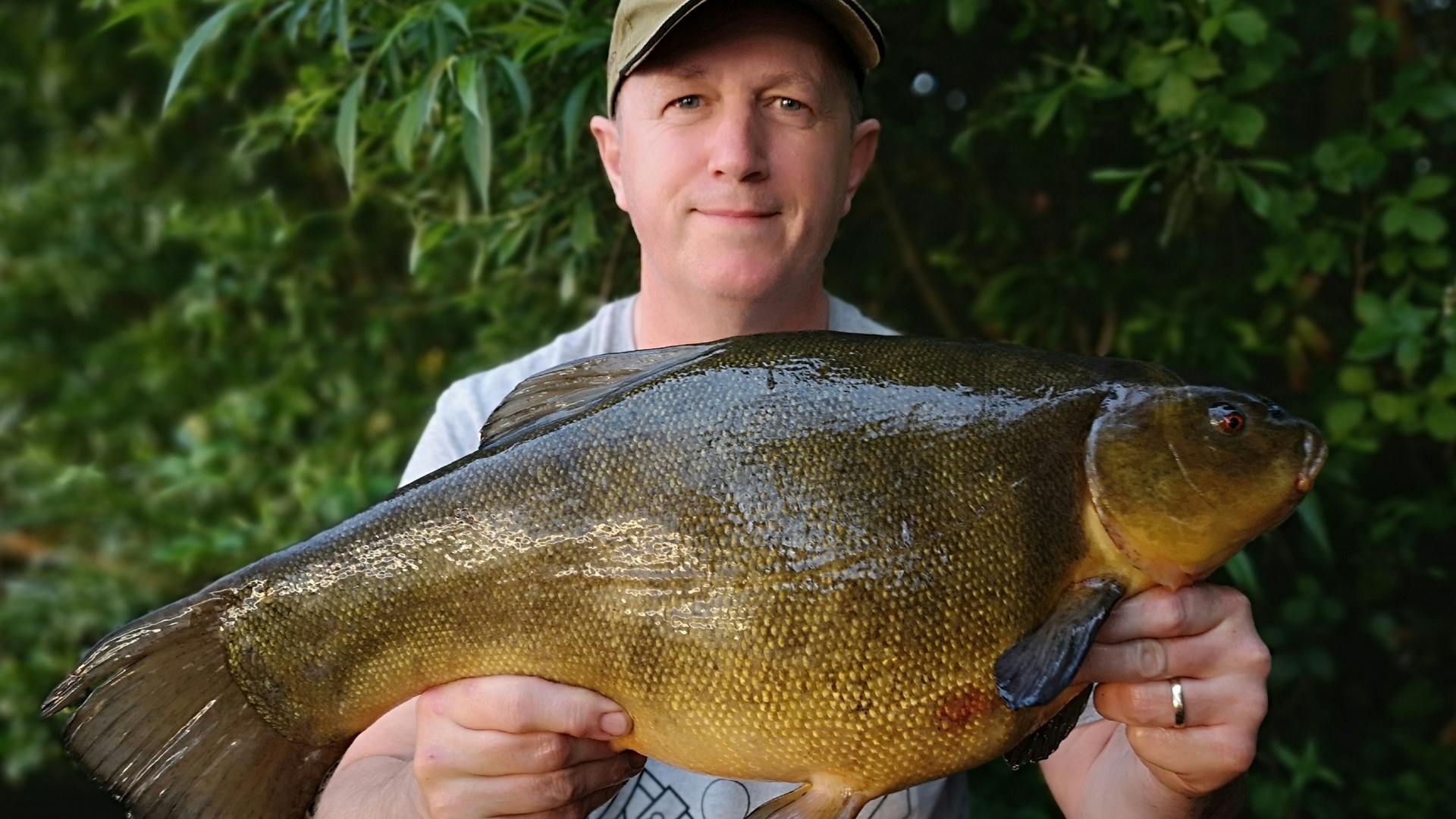 Tench hit topped by 11lb-plus specimen | Angling Times