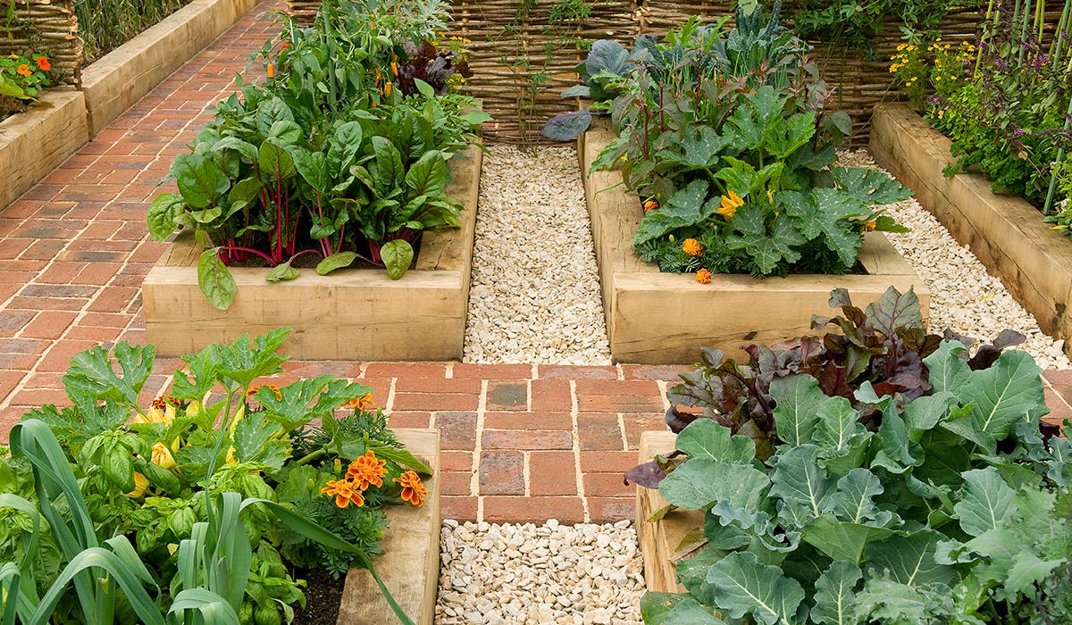 Raised planter boxes to step up your gardening game