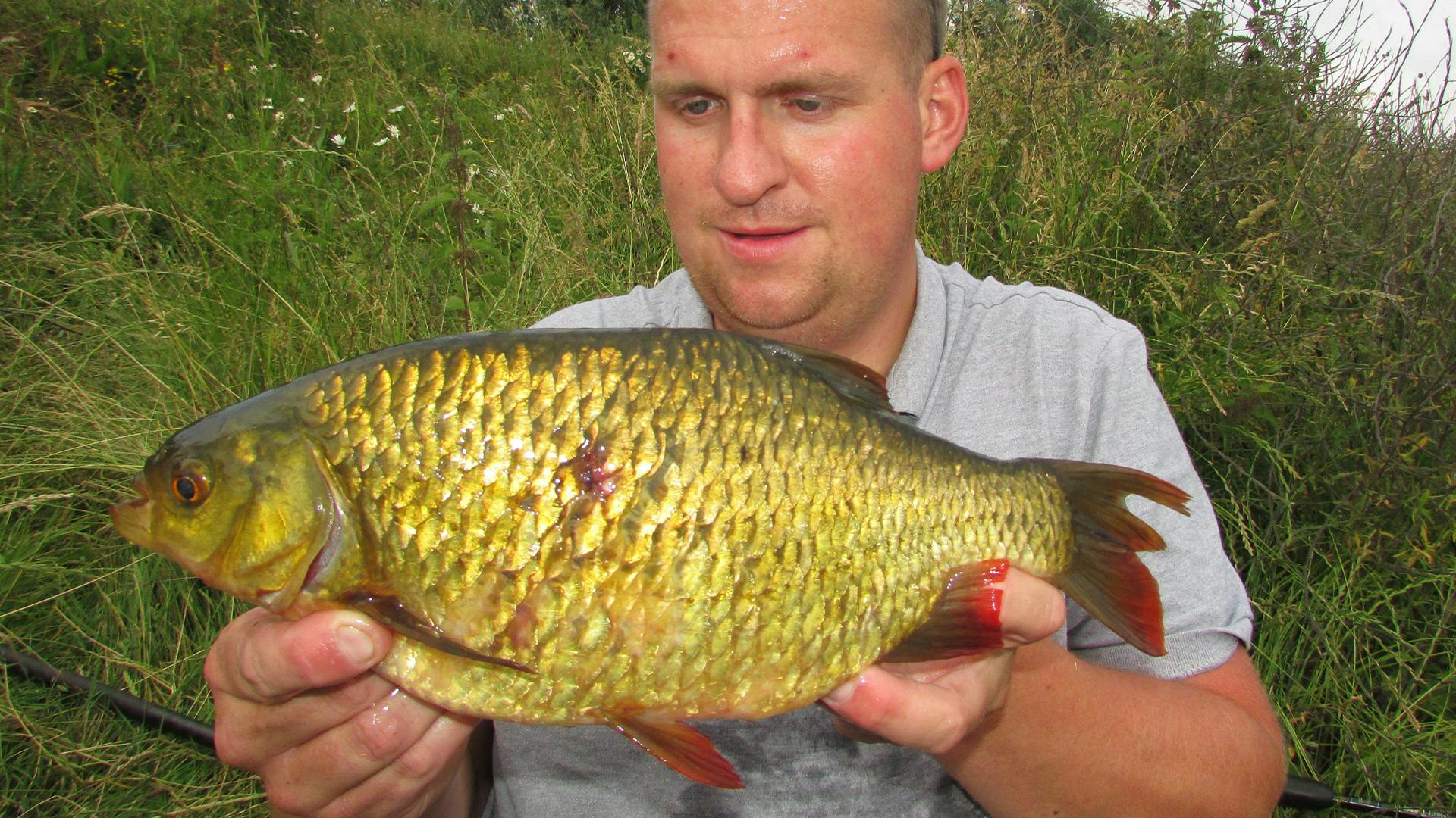 3lb-plus River Cam rudd | Angling Times