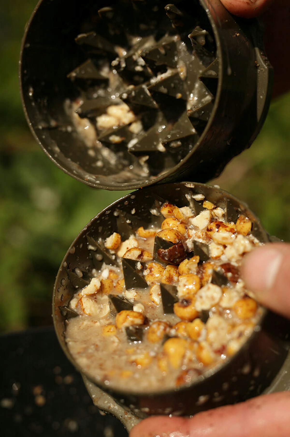 Why tiger nuts are one of the best baits for carp fishing | Angling Times