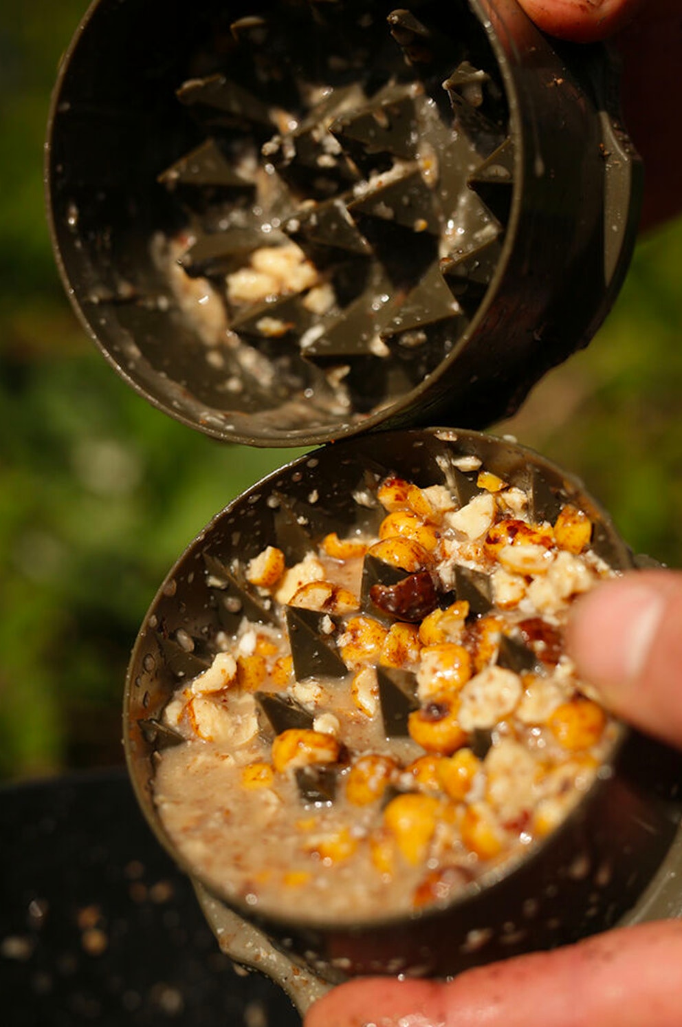 Why tiger nuts are one of the best baits for carp fishing | Angling Times