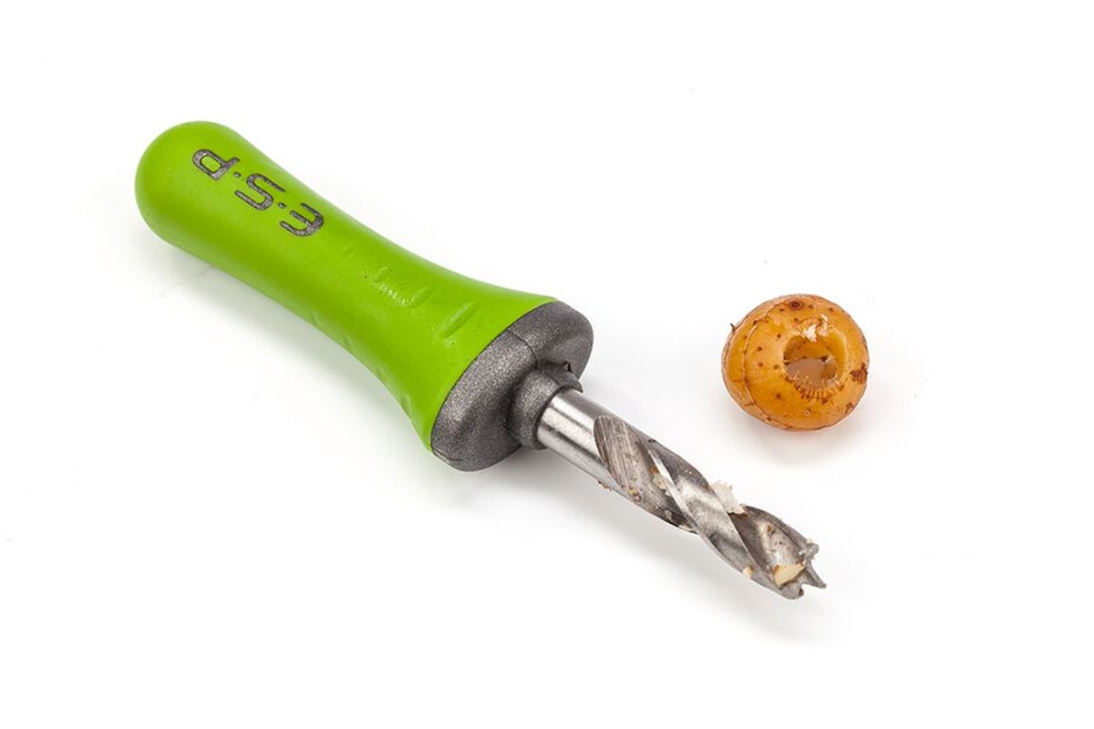 Why tiger nuts are one of the best baits for carp fishing | Angling Times