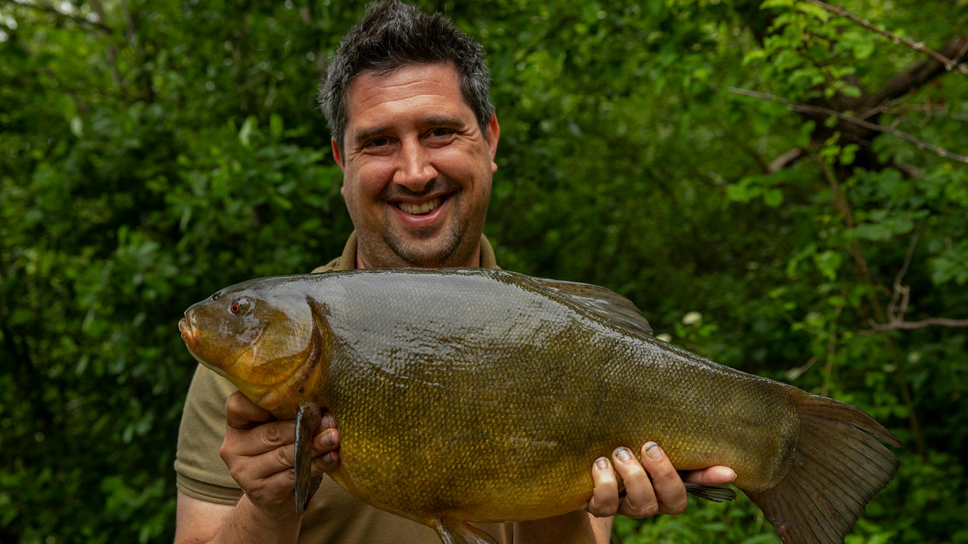 Haul of 20 tench topped by 11lb-plus specimen | Angling Times