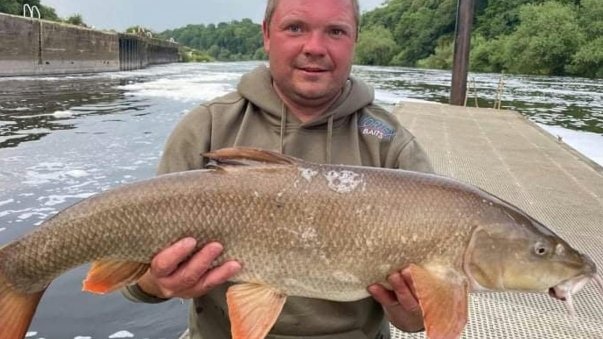 barbel.jpg?format=jpg&quality=80&width=960&height=540&ratio=16-9&resize ...