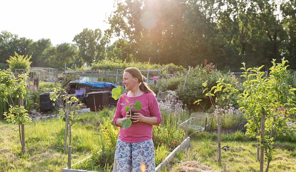 Celebrate National Allotments Week 2021
