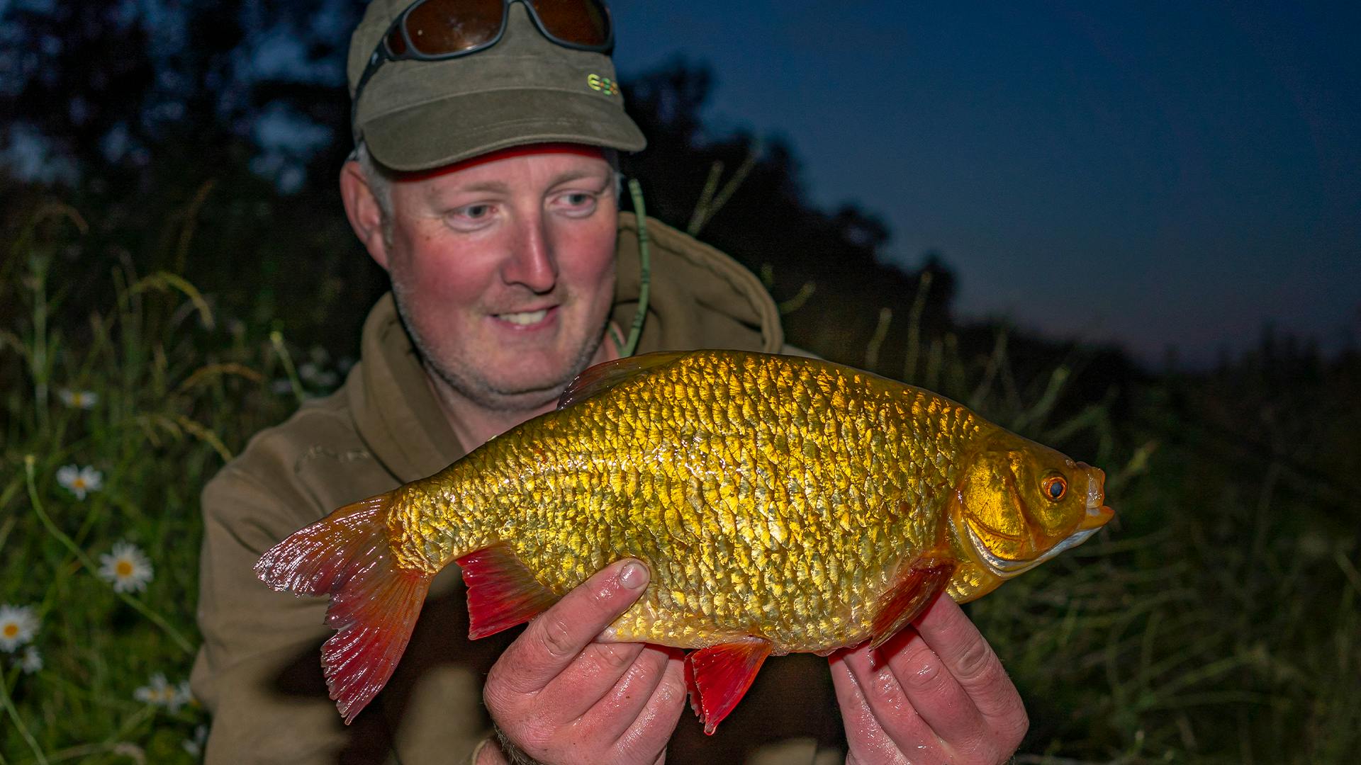 Stunning 3lb-plus Fenland rudd | Angling Times