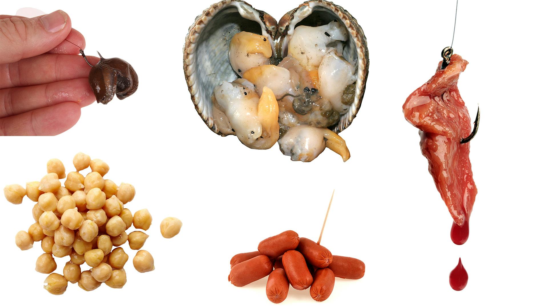 Weird fishing baits that are well worth a cast | Angling Times