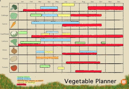 When to plant vegetables: a guide to sowing your own veg | Life | Yours
