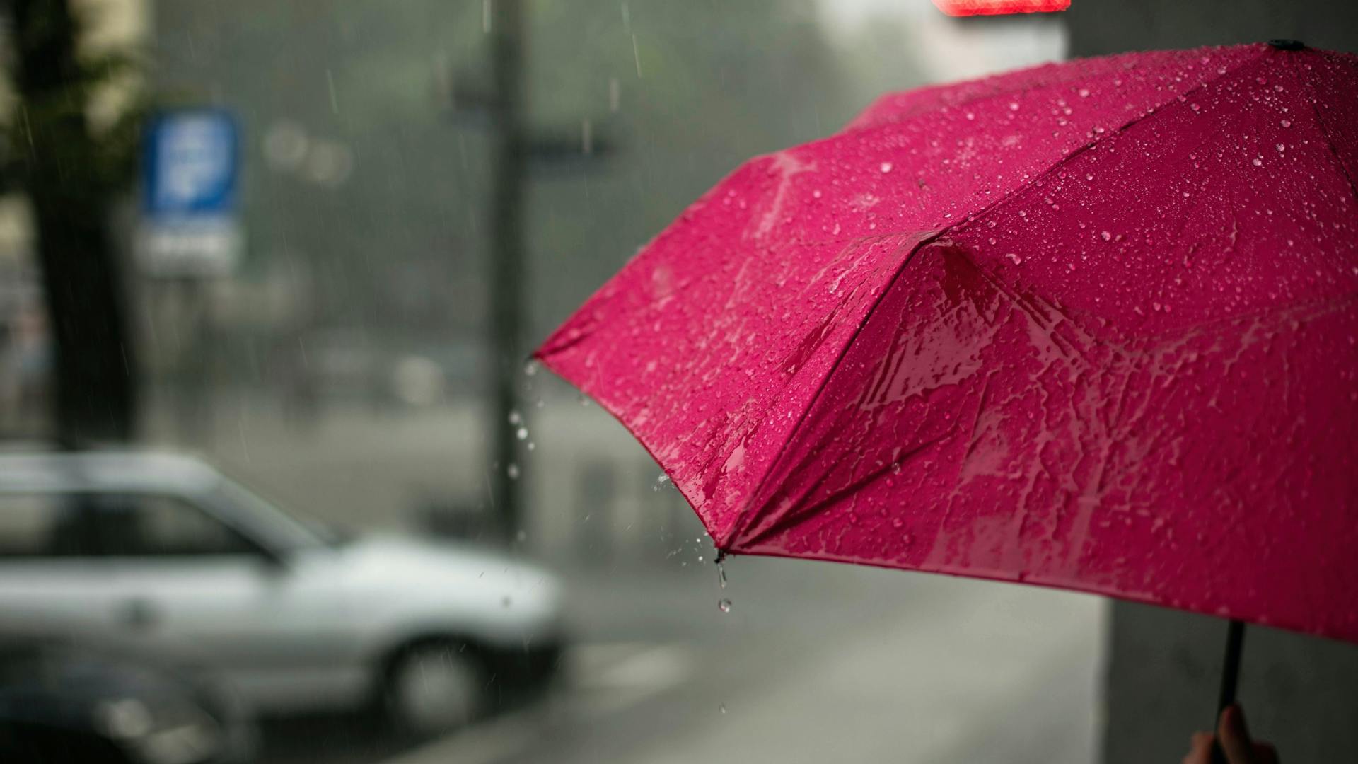 The Best Umbrellas For Whatever The Weather Throws At You
