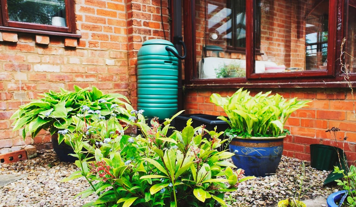 The Best Water Butts For Your Garden