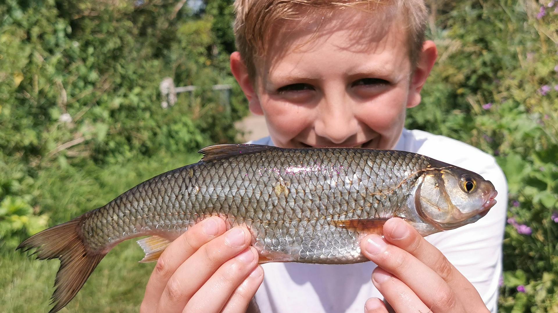 Mission accomplished with ‘proper’ dace | Angling Times