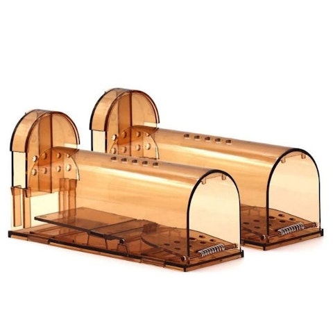 The best mouse traps that actually work (and are humane)