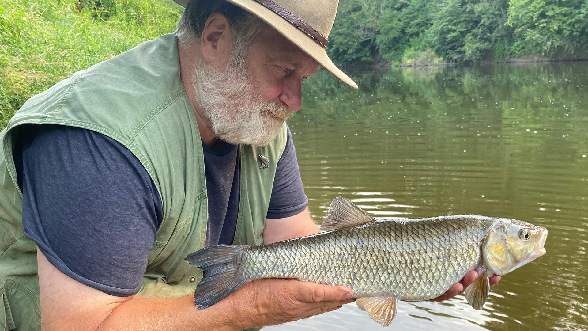 Des.jpg?format=jpg&quality=80&width=960&height=540&ratio=16-9&resize ...