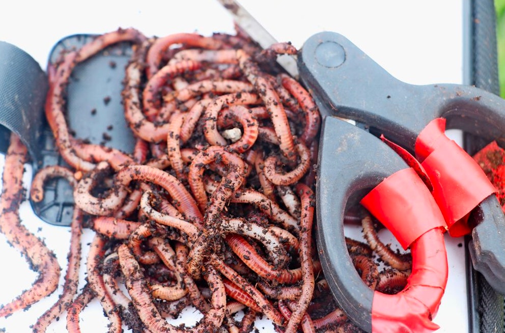 How to fish deep canals | Angling Times
