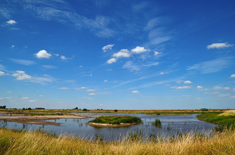 Frampton Marsh Readers’ Day | Travel Guides | Bird Watching