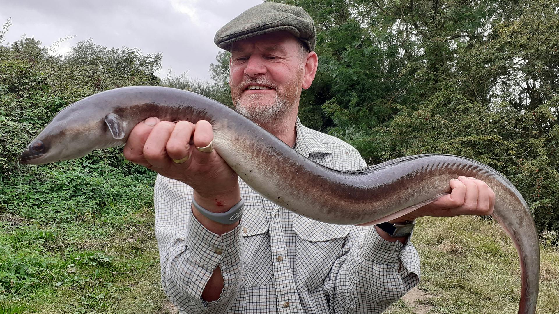 30-night wait for big eel worth every minute | Angling Times