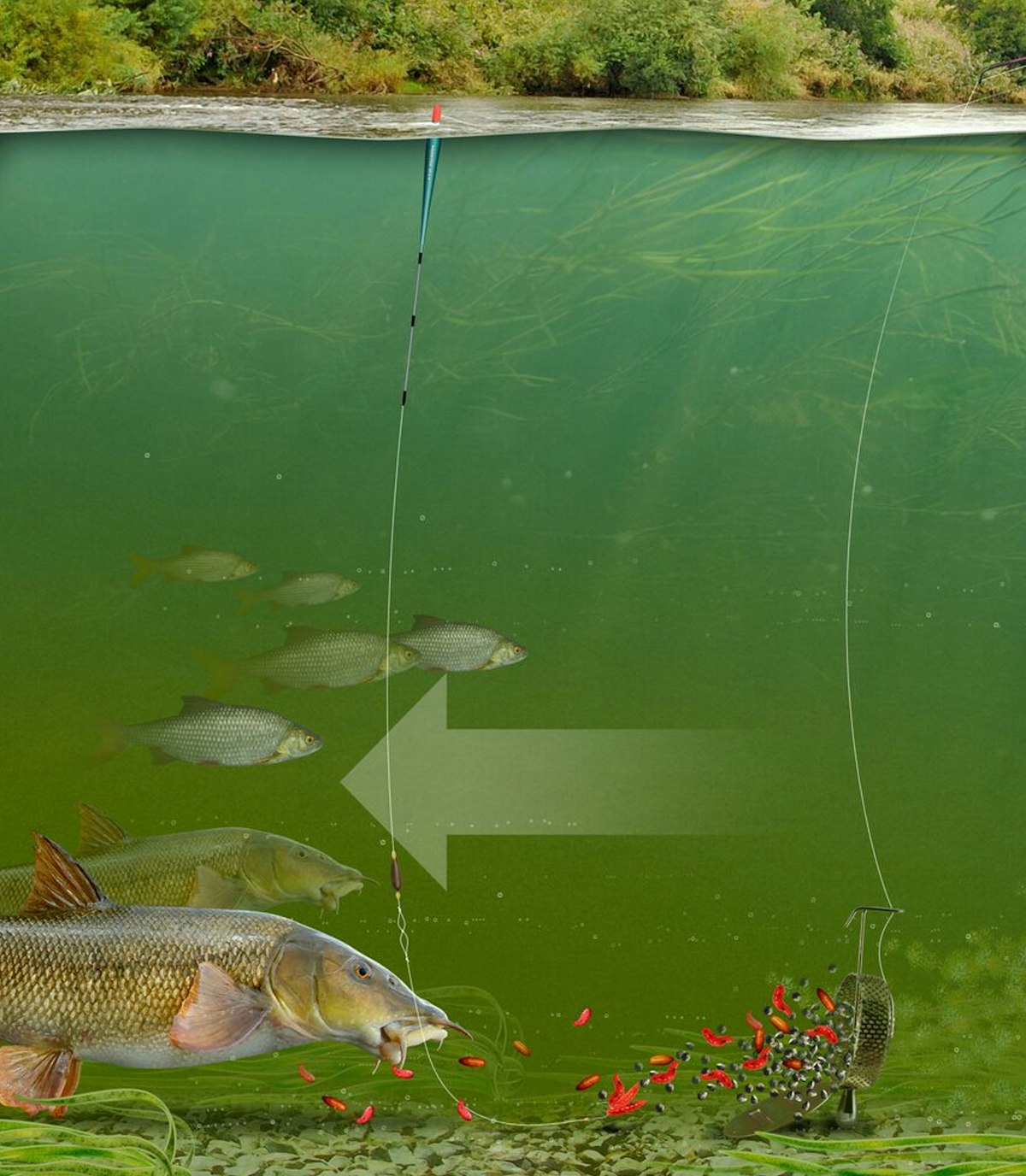 The best trotting rig for barbel | Angling Times