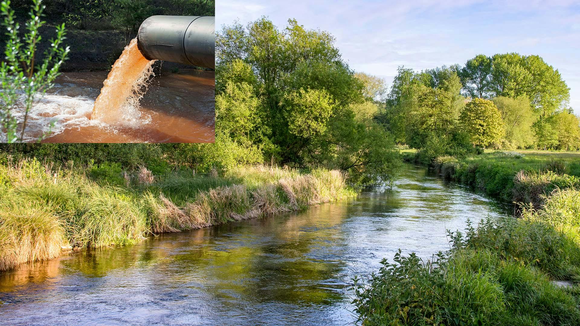 sewage rivers.jpg?format=jpg&quality=80&width=960&height=540&ratio=16-9 ...