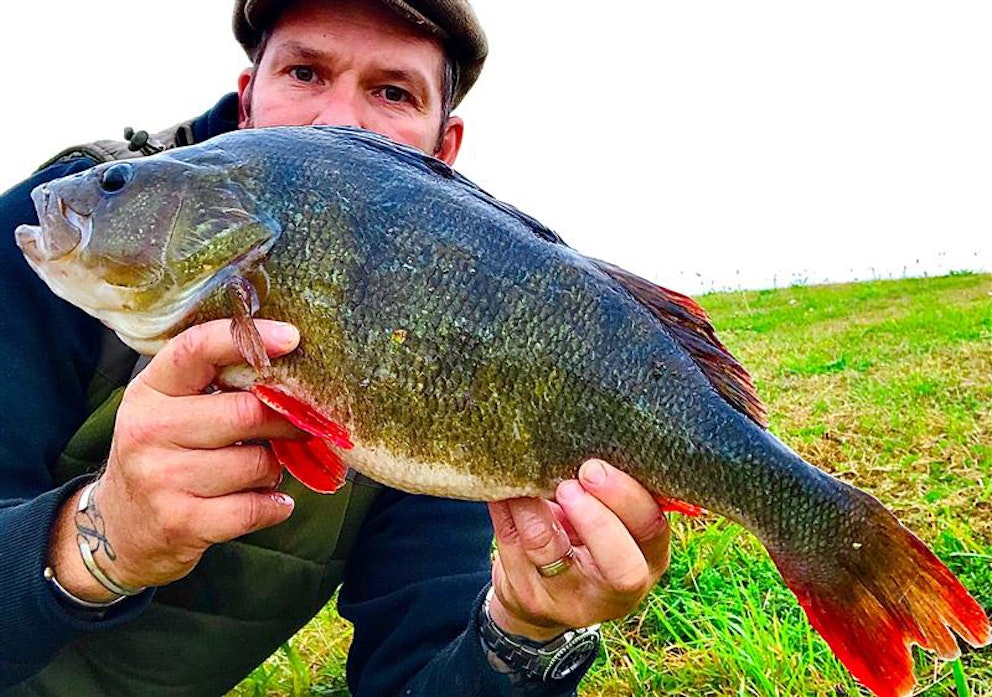 5lb-plus river perch is season’s biggest | Angling Times